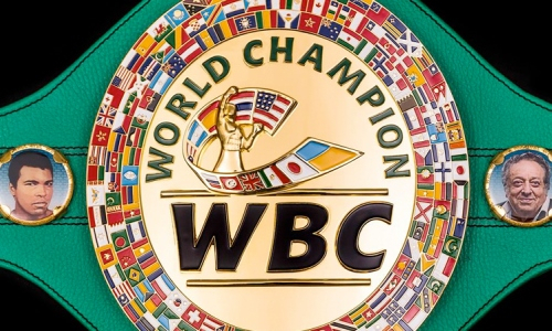 Казахстан может получить нового чемпиона мира. WBC принял официальное ...